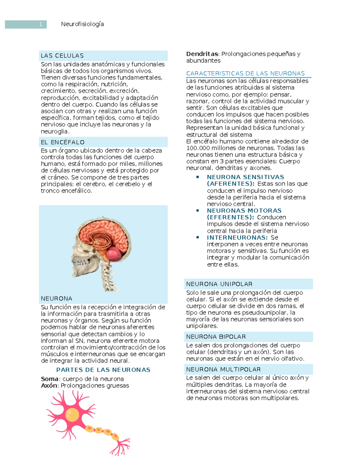 Bases Neurales para la Psicopedagogía: Función y Estructura del Sistema ...
