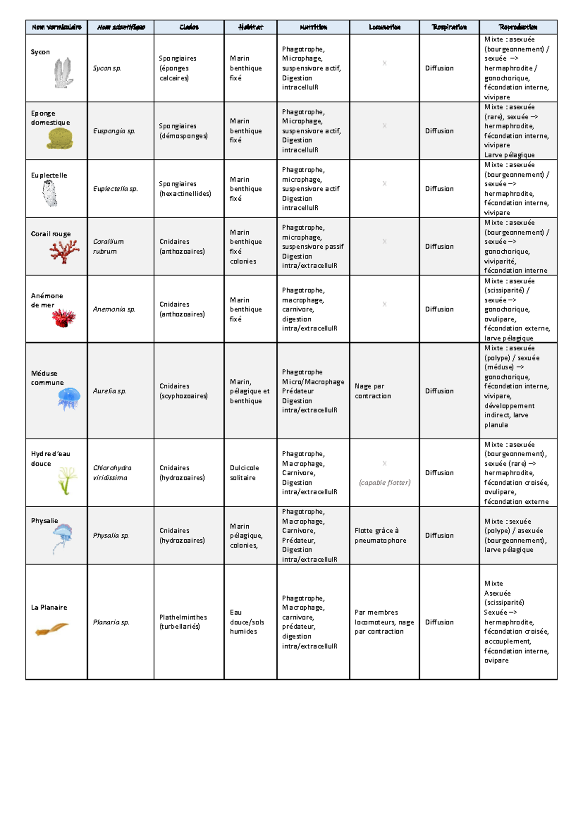 TP BA - tableau des caractéristiques des animaux observés (UDV partie bio animale) - Nom - Studocu