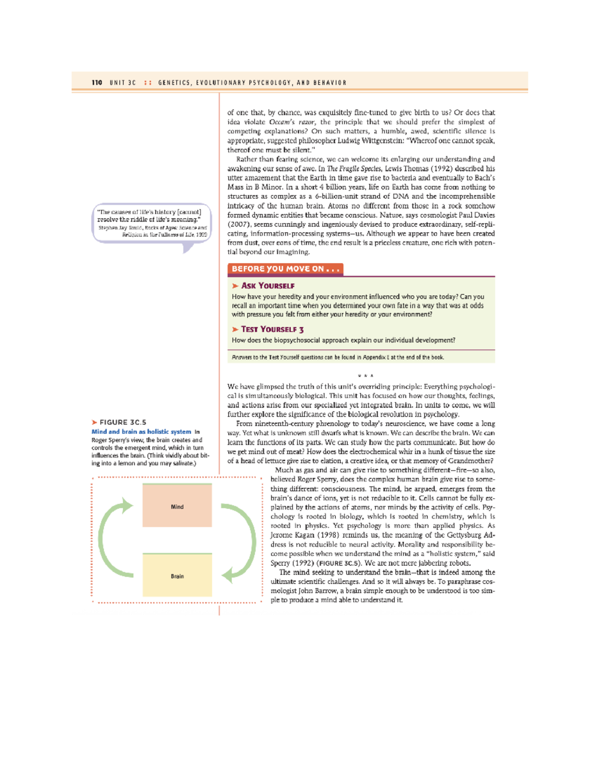 AP PSYCH 3C :: Comprehensive Study Guide on Genetics and Evolutionary ...