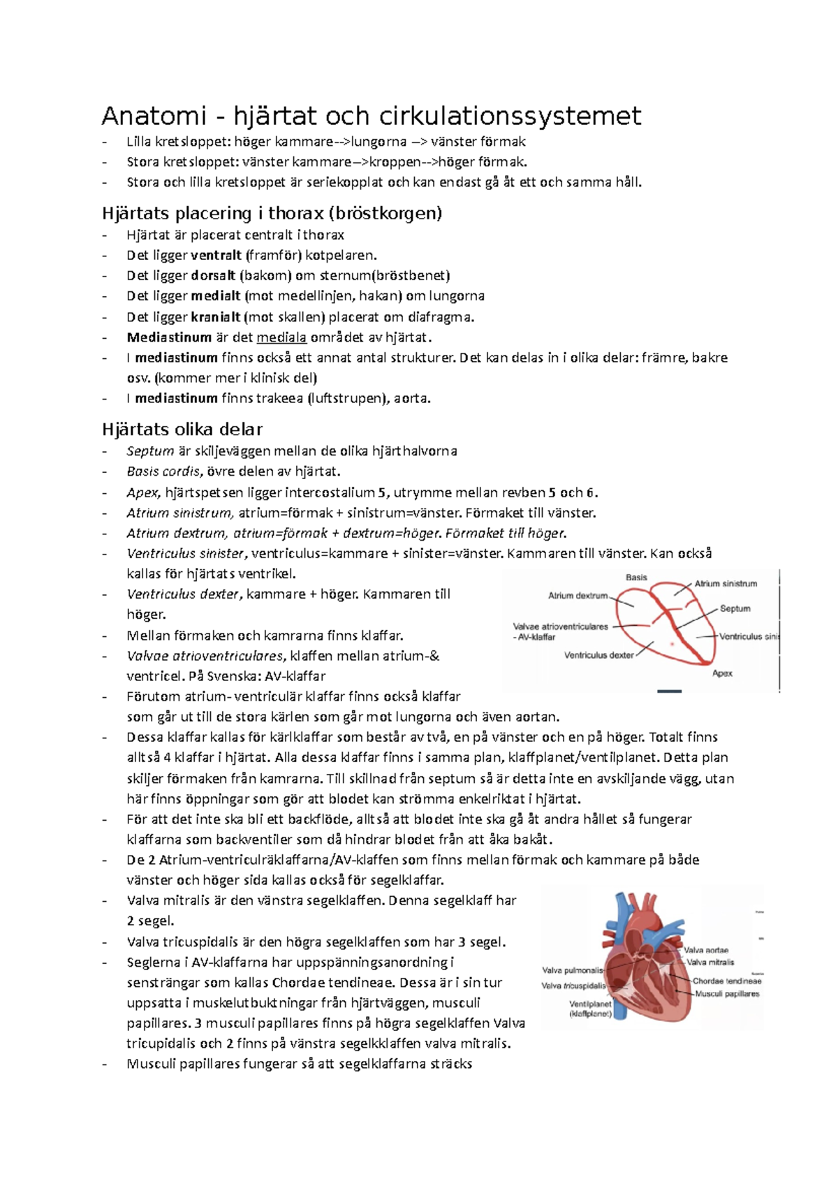 Anatomi av Hjärta och Cirkulationssystemet - Grunder och Struktur - Studocu