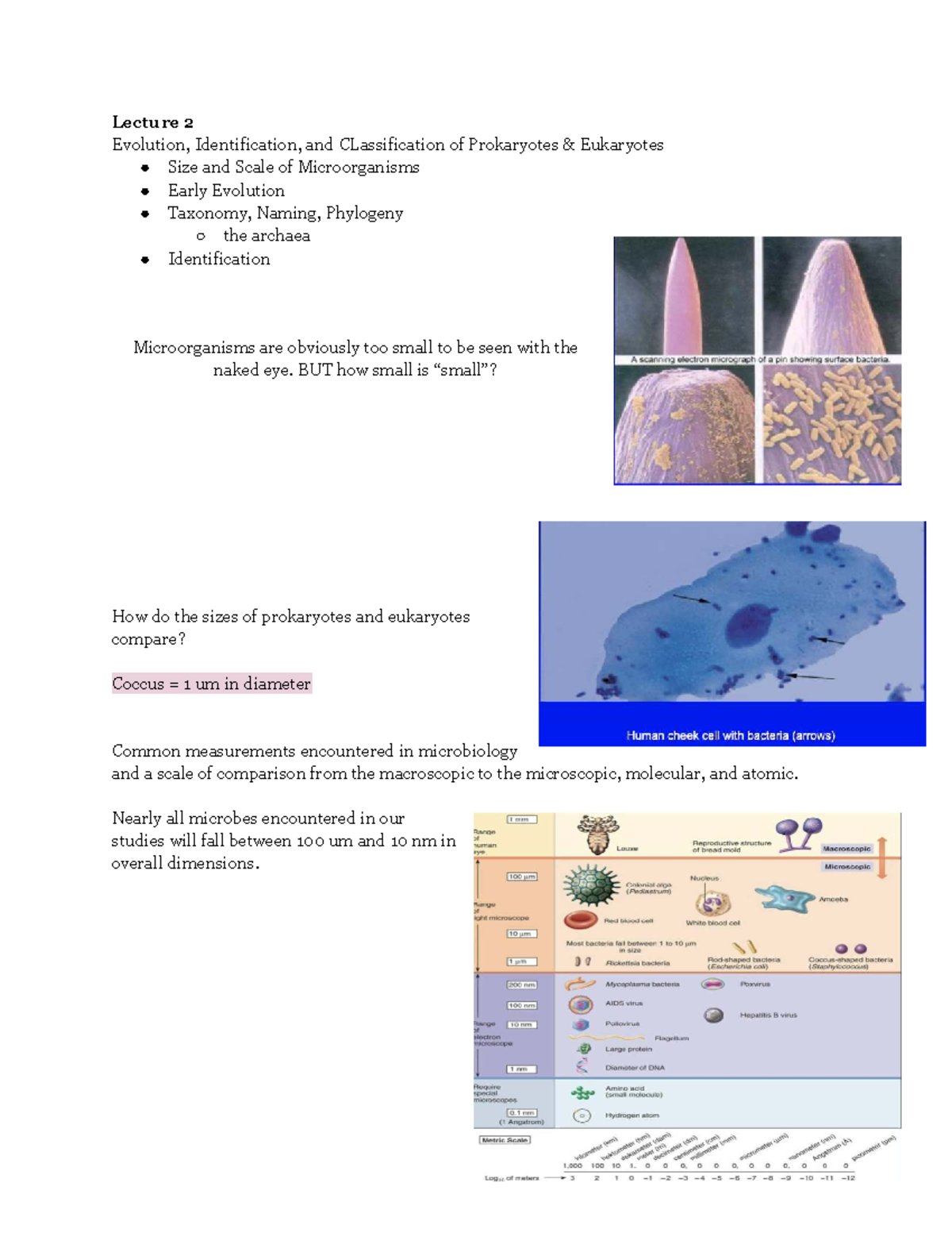 Microbiology Lecture Notes: Prokaryotes, Eukaryotes, and Taxonomy ...