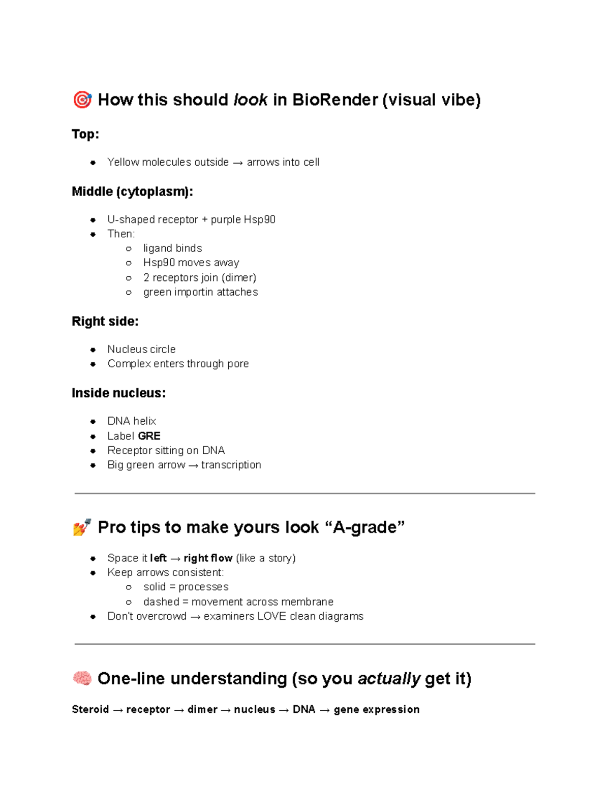 BioRender Visual Guide: Glucocorticoid Receptor Dimerization - Studocu
