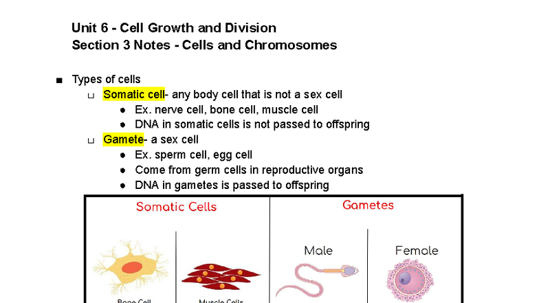 Unit 6 - Section 3 Notes: Cell Growth, Division & Chromosomes - Studocu