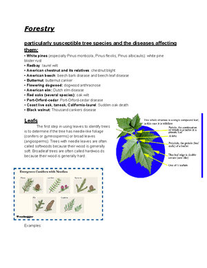 Jordan Dischinger Smedes Apes unit 7 Fillin Notes - 7 KLV SURGXFW LV ...