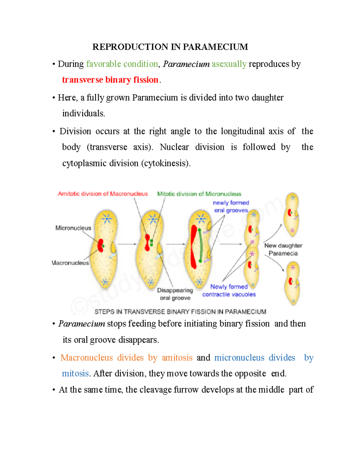 Reproduction in Paramecium: Asex & Sexual Processes Explained - Studocu