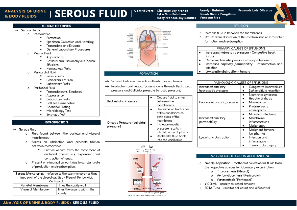 Serous- Fluid - OUTLINE OF TOPICS → Serous Fluids o Introduction ...