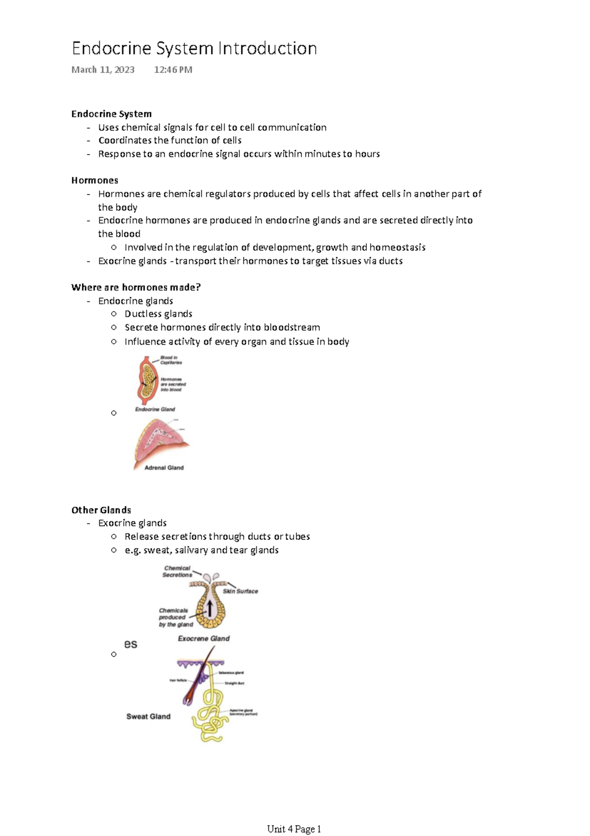 Endocrine System Overview: Key Concepts and Hormones - Studocu