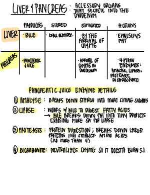 Med Terms Ch 8 Pt 1 - The Digestive System - Medical Terminology ...