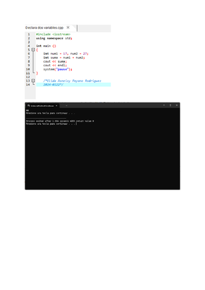 Errores de programacion - Asignatura: Introducción a la elaboración de ...