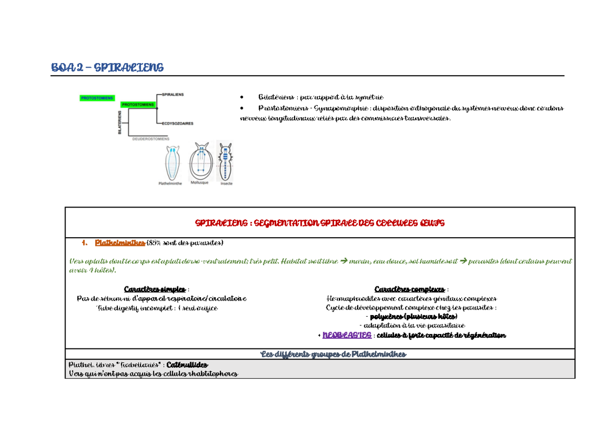 BOA 2 - résumé du cours du début aux mollusques - BOA 2 – SPIRALIENS ...