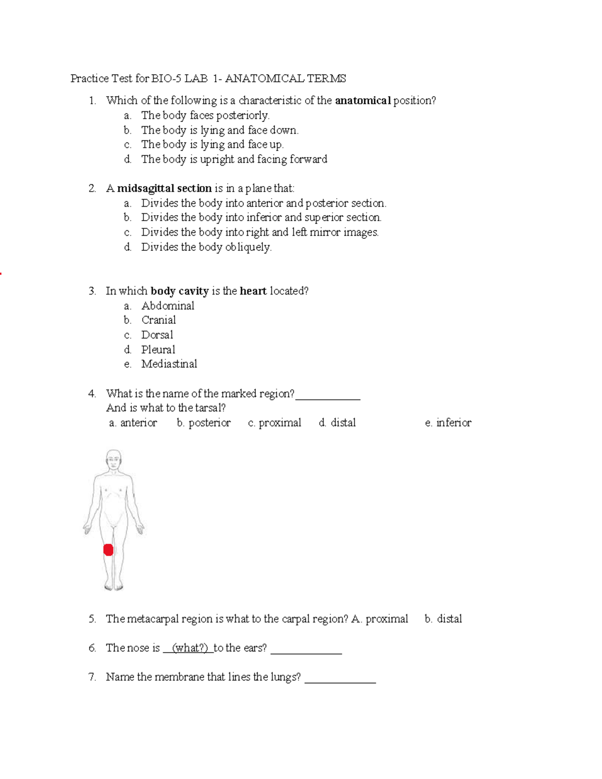 Practice Test-1 Anatomical terms - Practice Test for BIO-5 LAB 1 ...