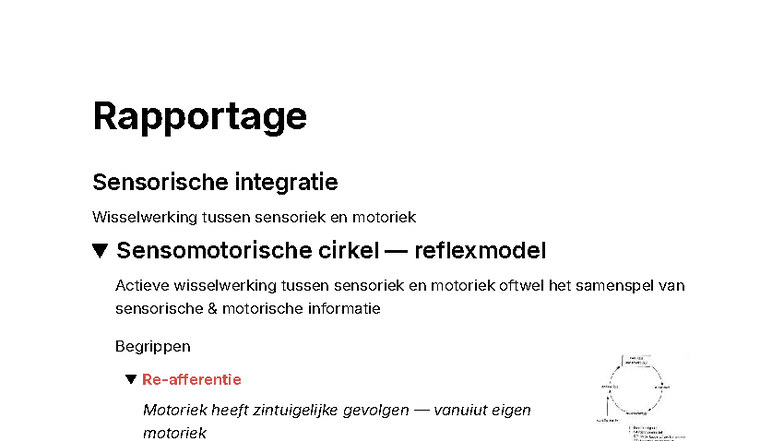 OG 1.2.6 - Rapportage over Sensorische Integratie en Motoriek - Studocu