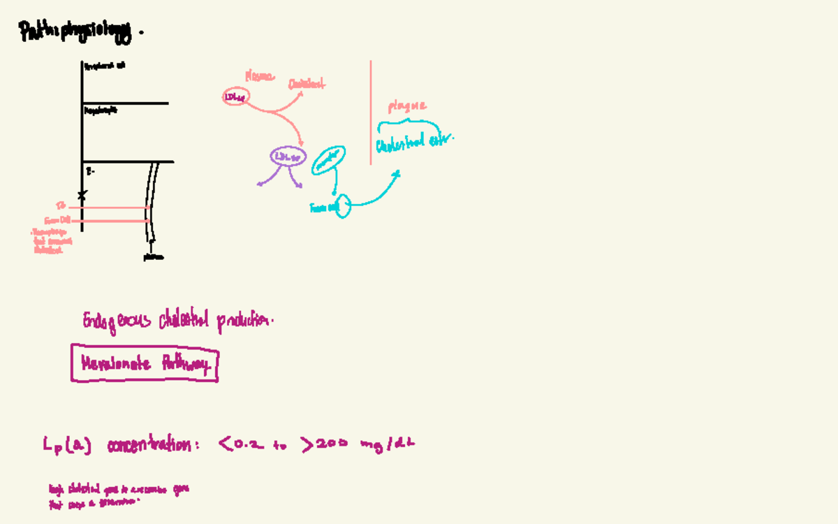Pathophysiology of Cholesterol and Its Metabolic Pathways - HSCI 365 - Pathophysiology ...