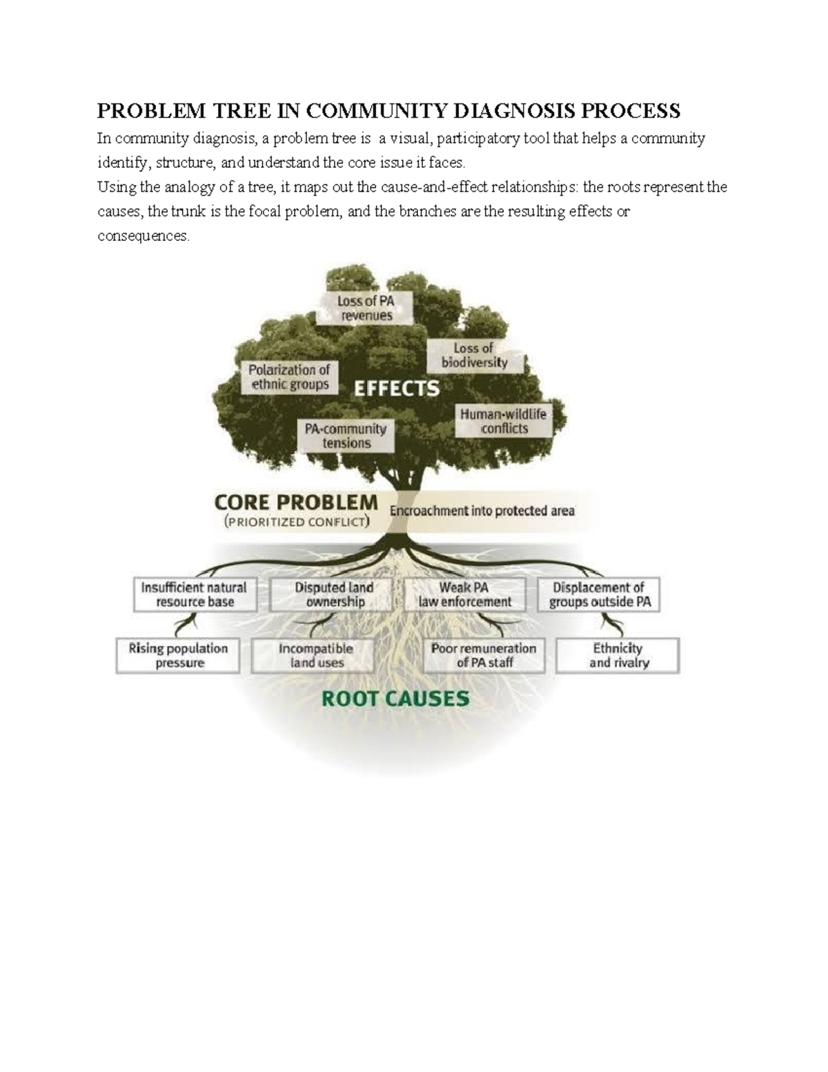 Problem Tree Analysis in Community Diagnosis Process - Studocu