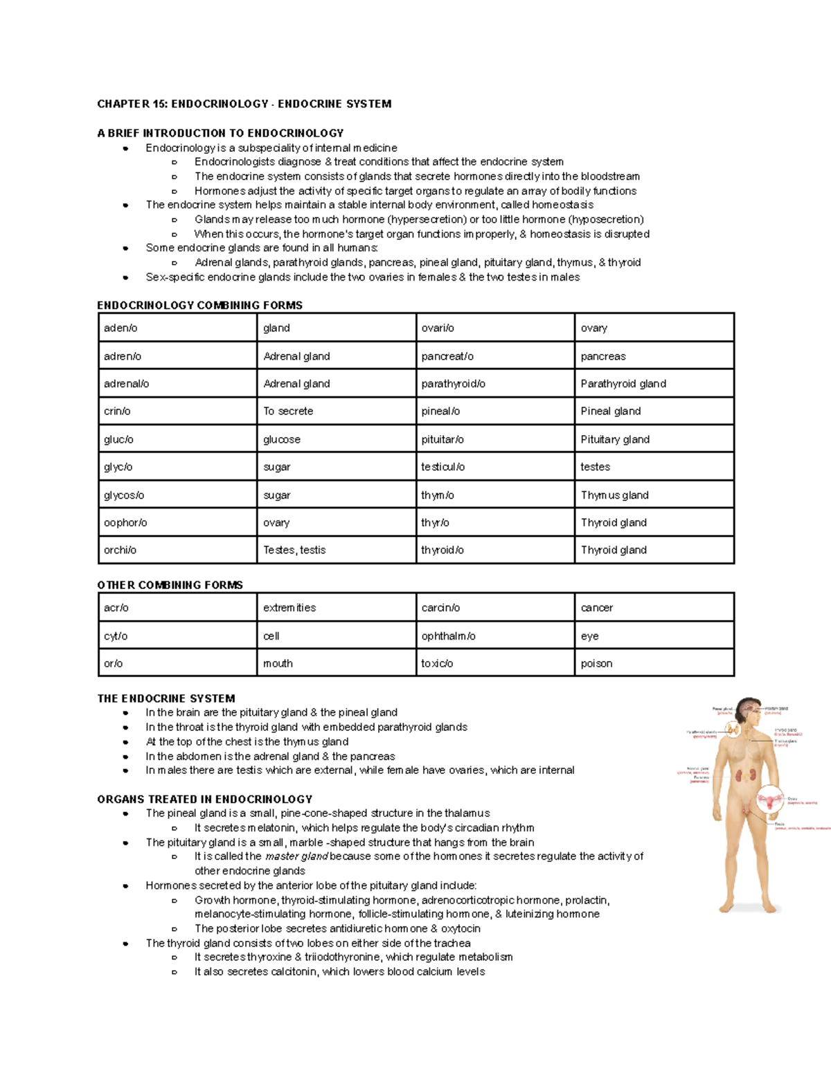 HSA 3534 Chp 15 Notes - CHAPTER 15: ENDOCRINOLOGY - ENDOCRINE SYSTEM A ...