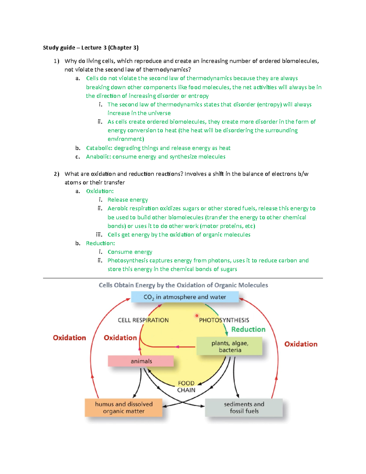 Study guide - Chapter 3 - Study guide – Lecture 3 (Chapter 3) Why do ...