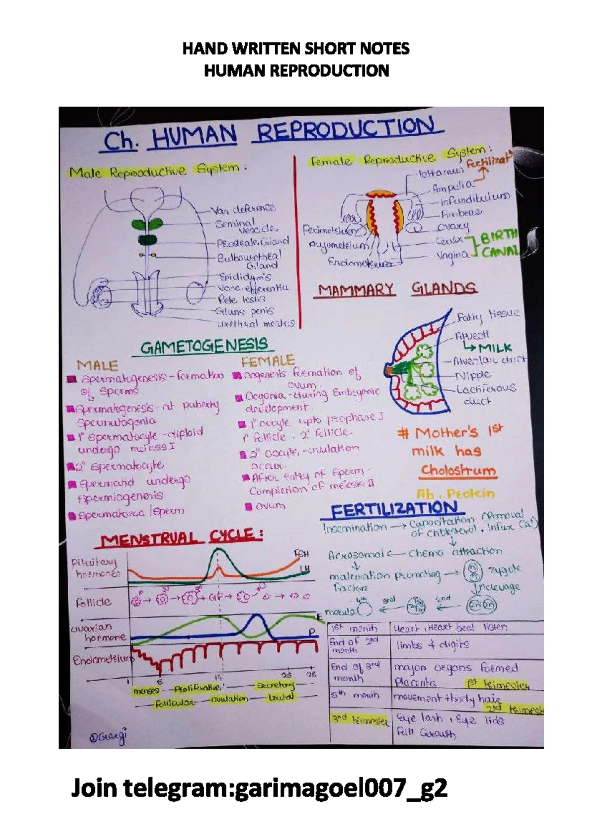 CBSE Sample Paper,QP, Biology 2024-25 - Sample Question Paper Class XII ...