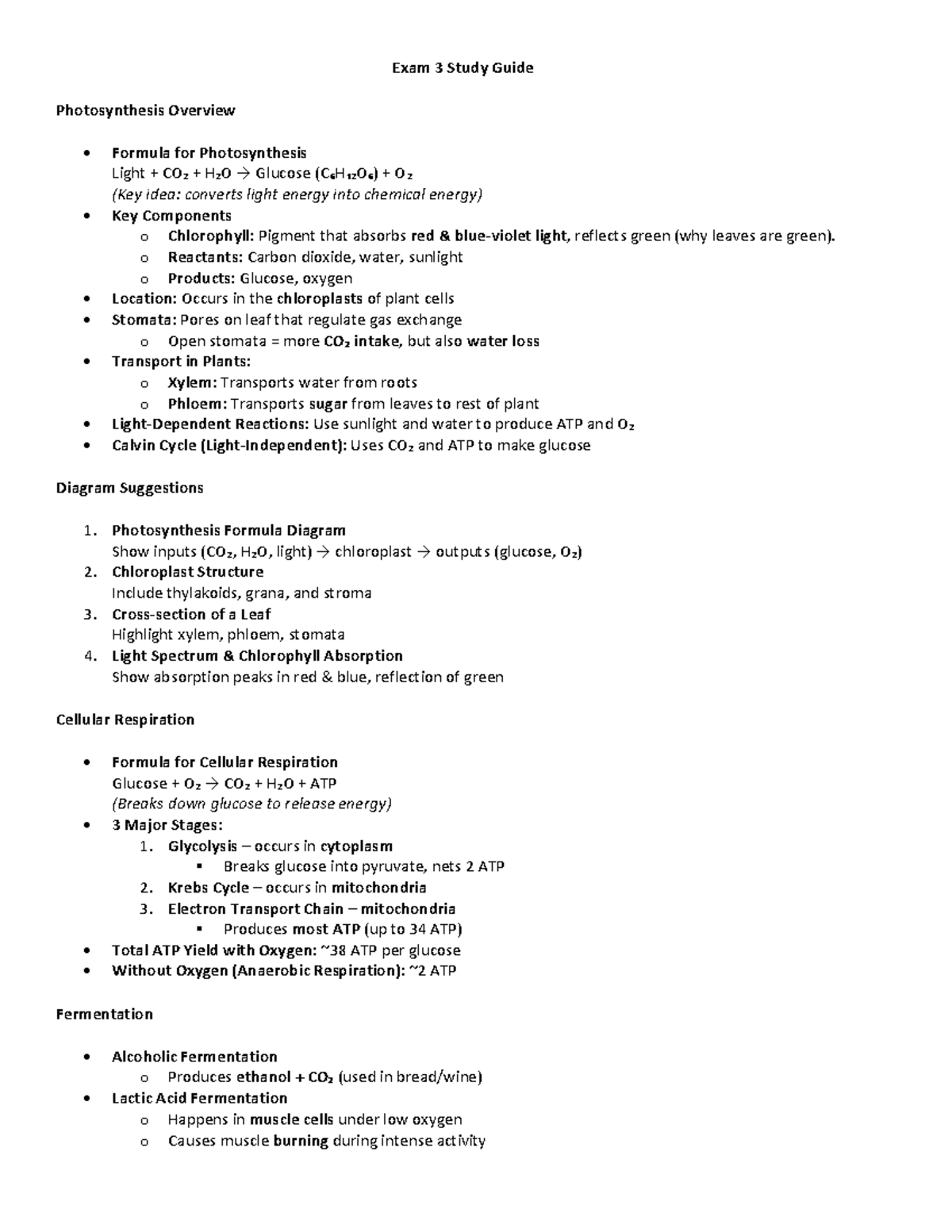 Exam 3 Study Guide: Photosynthesis & Cellular Respiration Overview ...