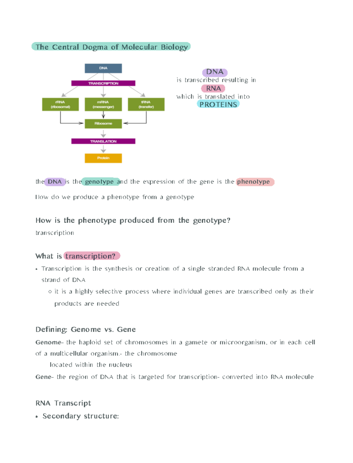 Class 15 - Transcription - The Central Dogma of Molecular Biology DNA ...