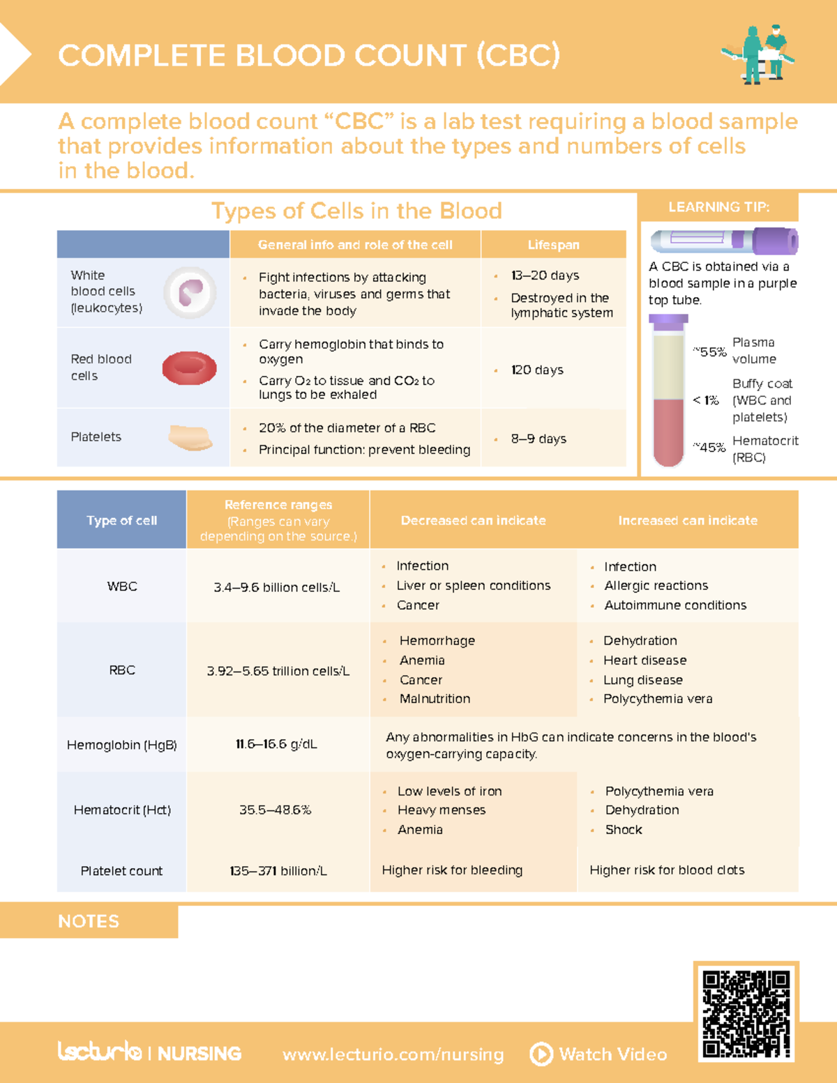Nursing CS Final Exam Notes: Complete Blood Count (CBC) Overview - Studocu
