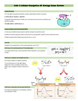 Unit 3 Review (Topics 3.1-3.3) - AP Biology Unit 3 Review 3 Enzyme ...