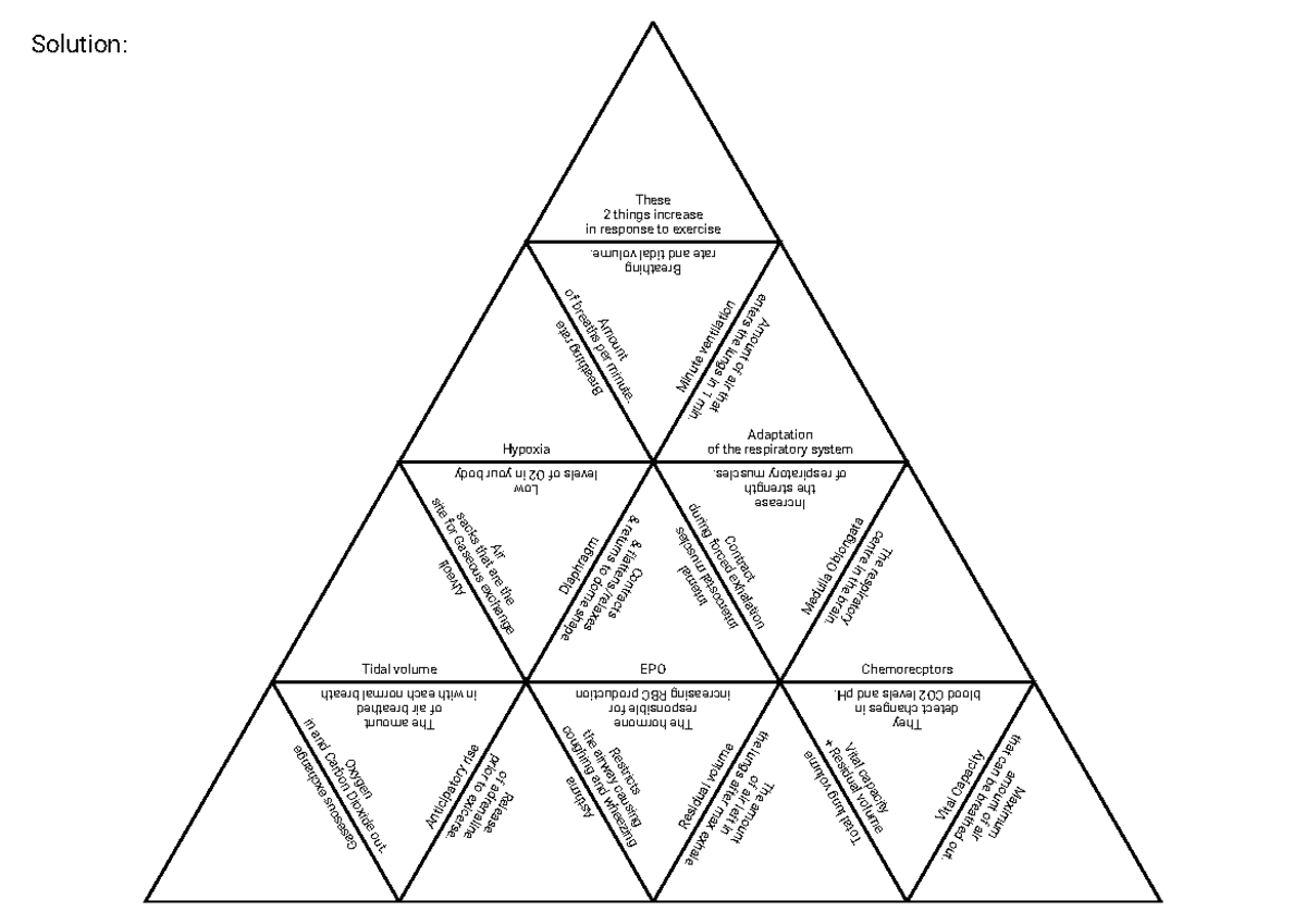Respiratory System Revision: Tarsia Activity for Exam Preparation - Studocu