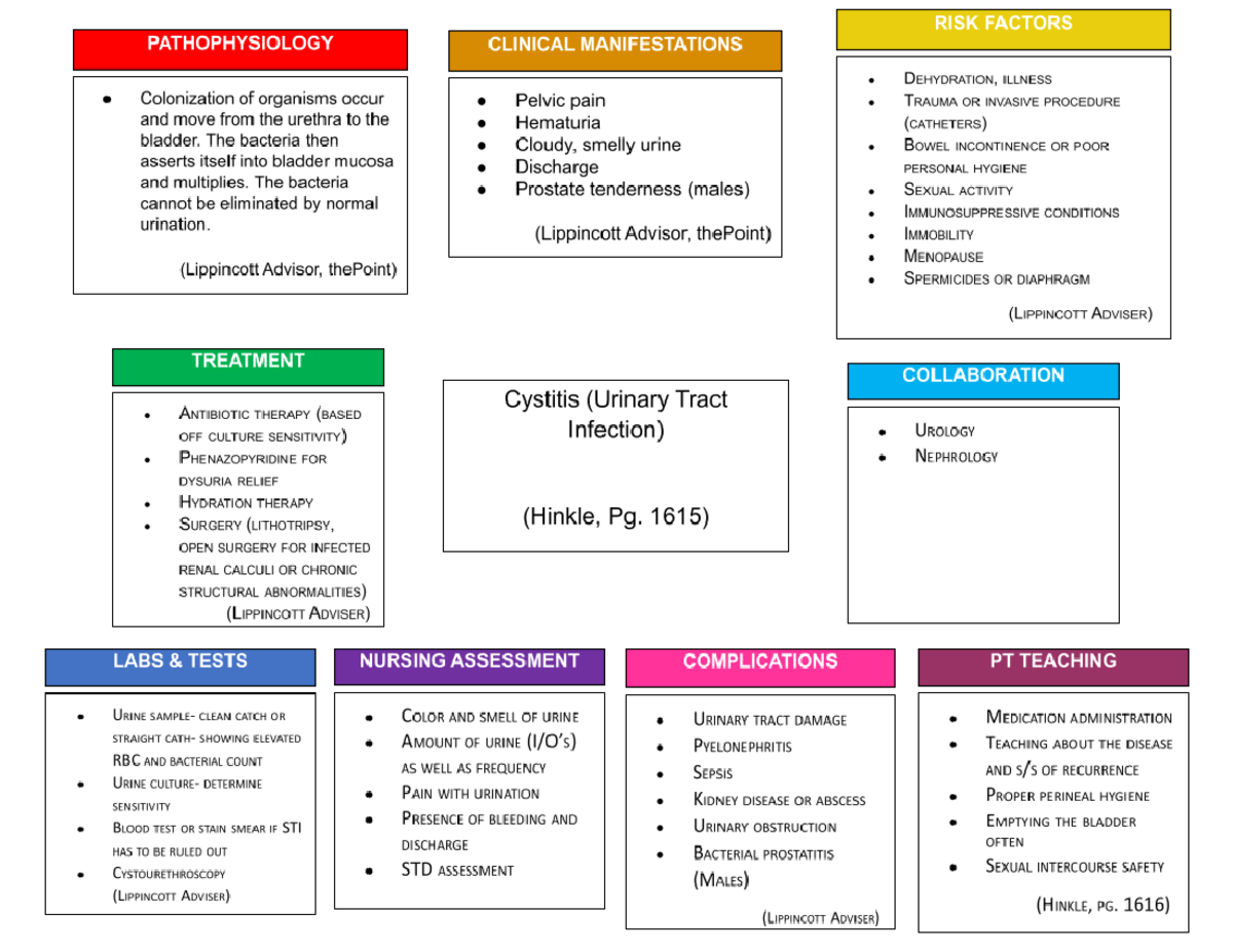 Concept Map Cystitis (UTI) - RISK FACTORS PATHOPHYSIOLOGY CLINICAL ...