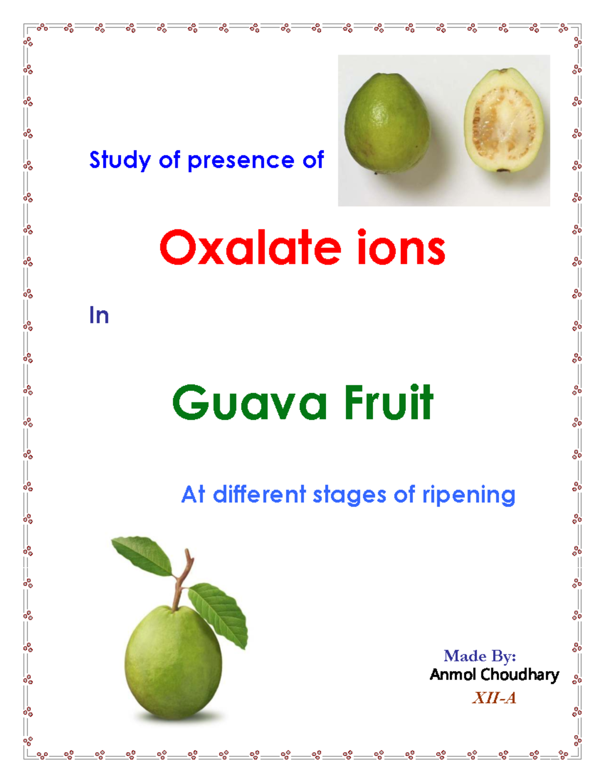 Study of Oxalate Ions in Guava Fruit at Different Ripening Stages ...
