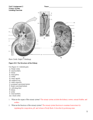 Embryology - Worksheet - What is the purpose of the corpus luteum? The ...