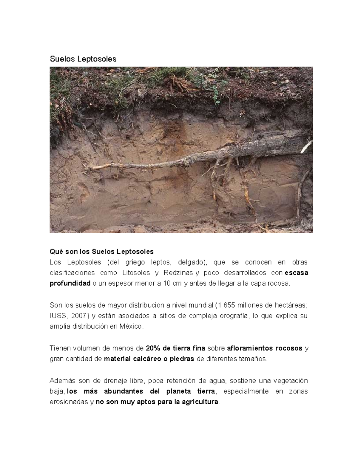 Tipos de Suelo: Descripción y Clasificación de Leptosoles, Regosoles y ...