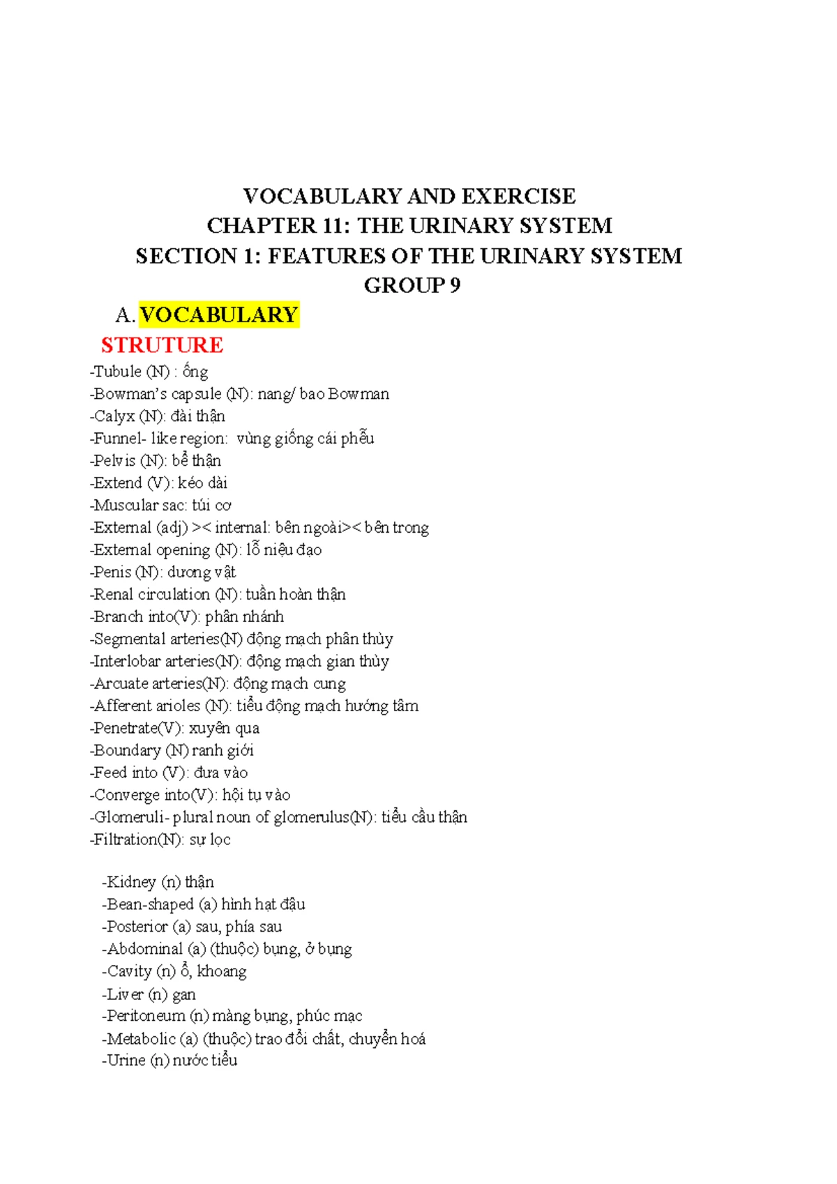 Chapter 13 - Urinary System - VOCAB Urologists- specialists in the ...