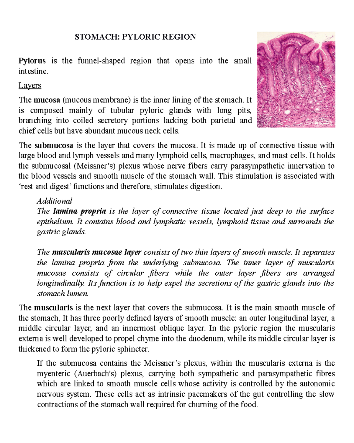 Pyloric Region - STOMACH: PYLORIC REGION Pylorus is the funnel-shaped ...