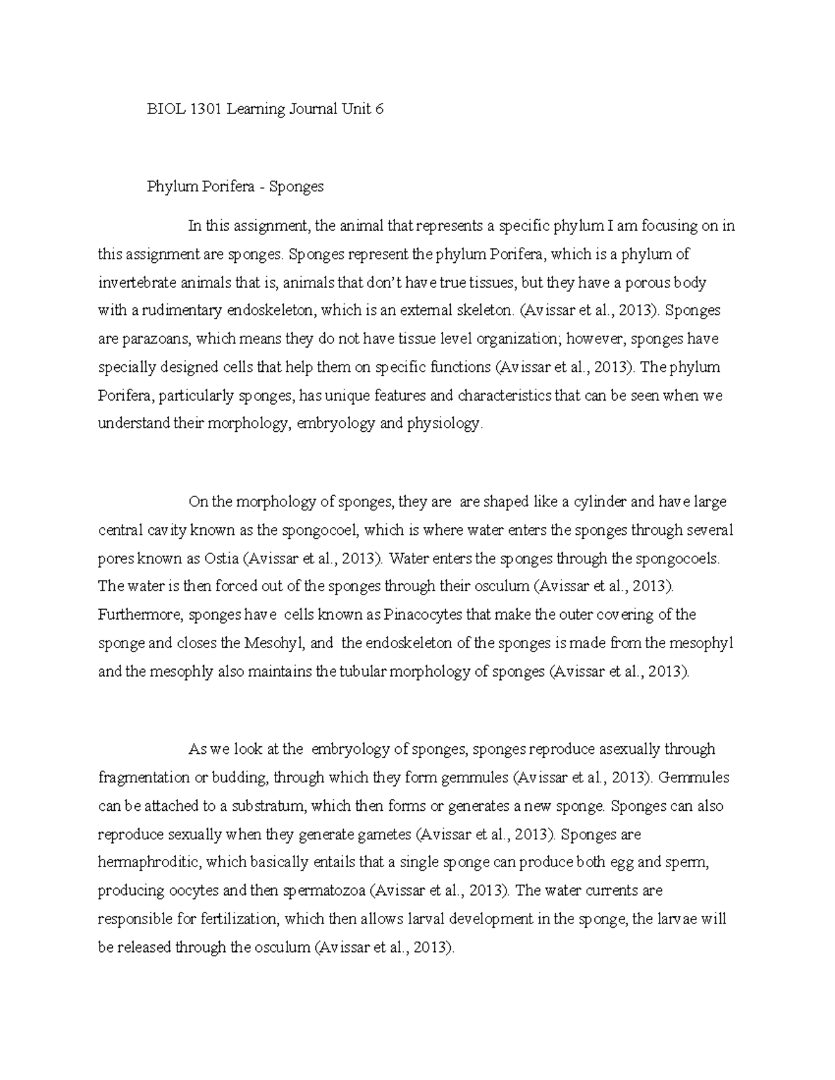 BIOL 1301 Learning Journal: Sponges & the Phylum Porifera - Studocu