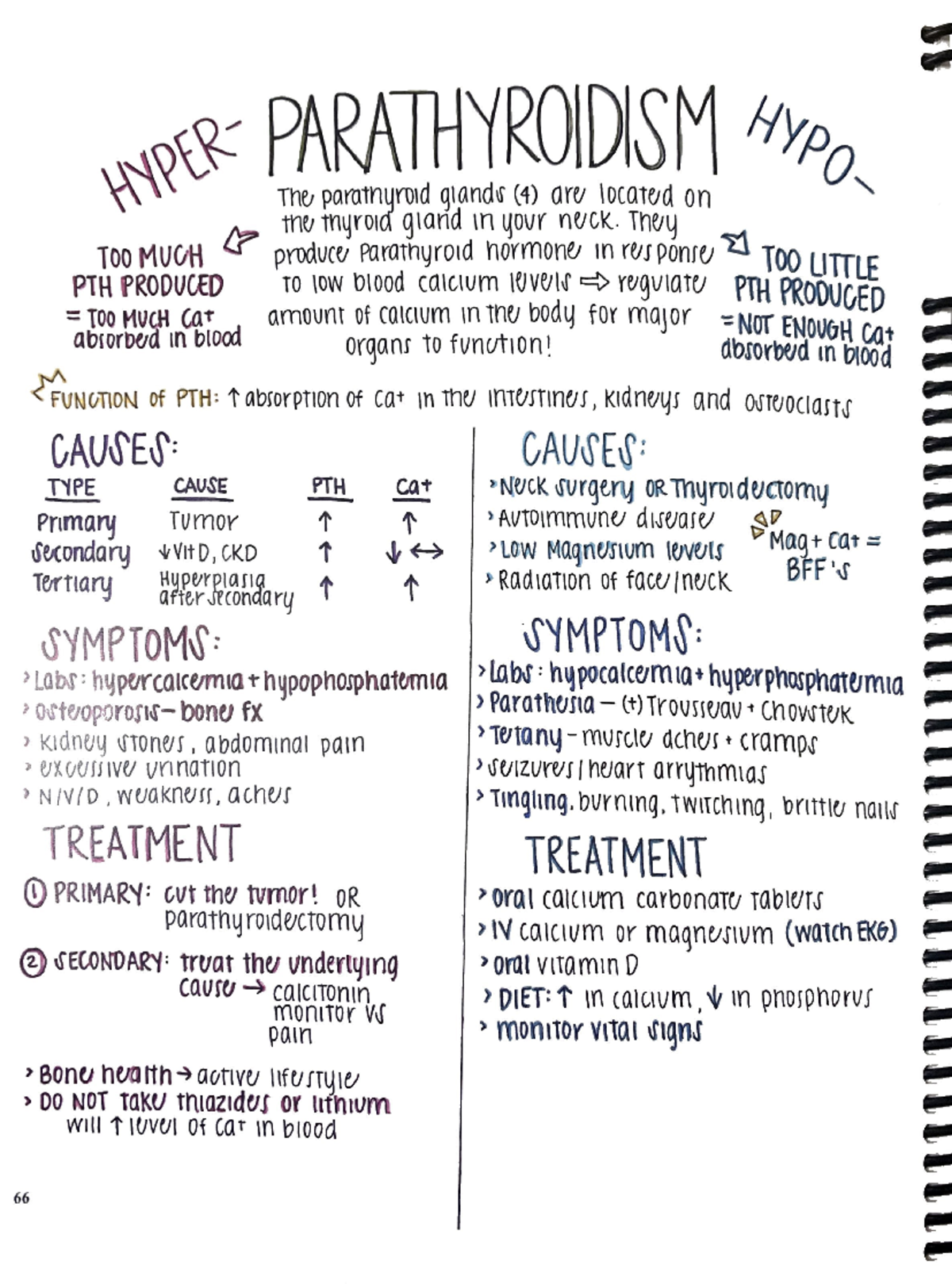 2022-10-19 14-34 - Notes - HYPER PARATHYROIDISM HYPO The parathyroid ...