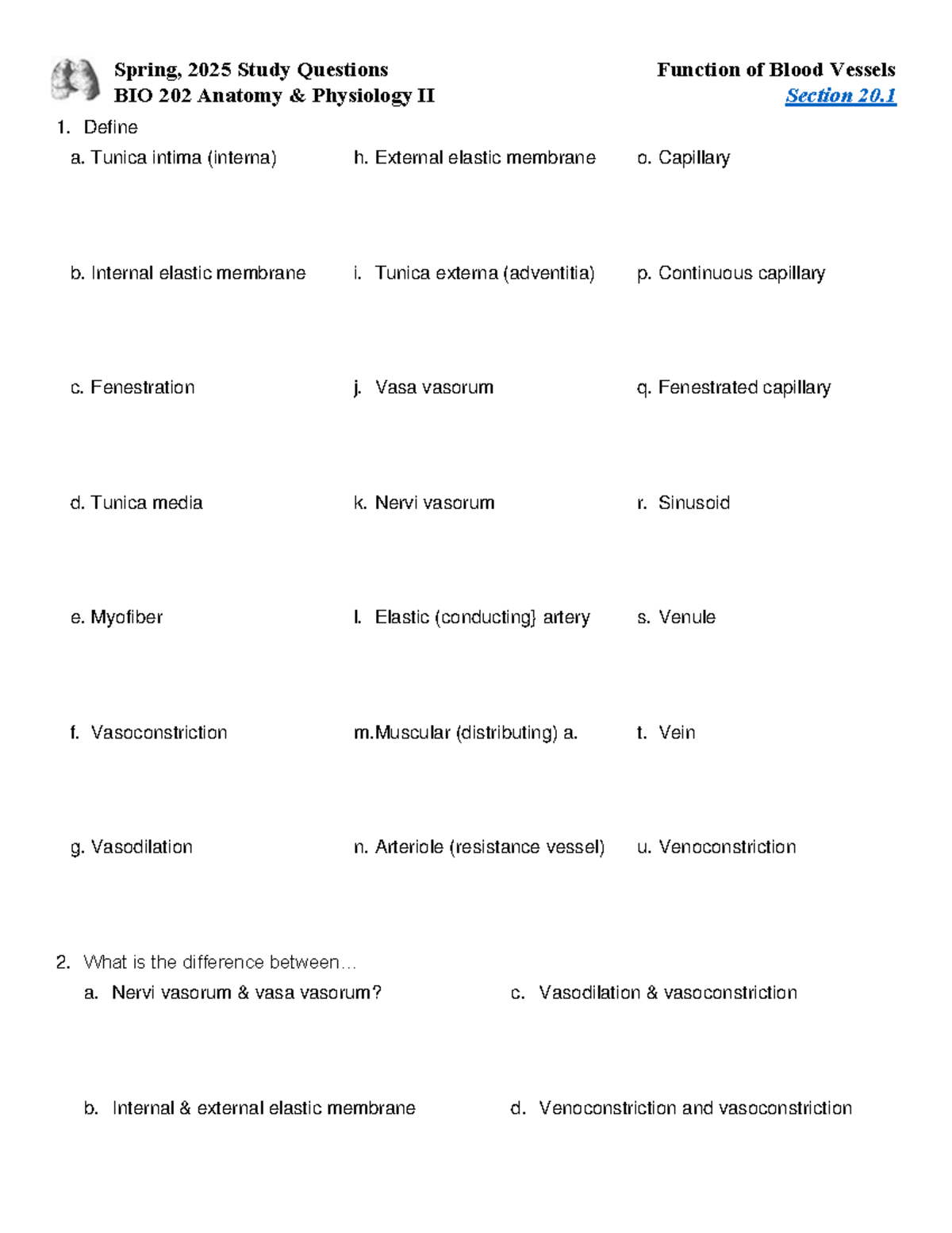 Function of Blood Vessels Study Questions - BIO 202 Anatomy ...