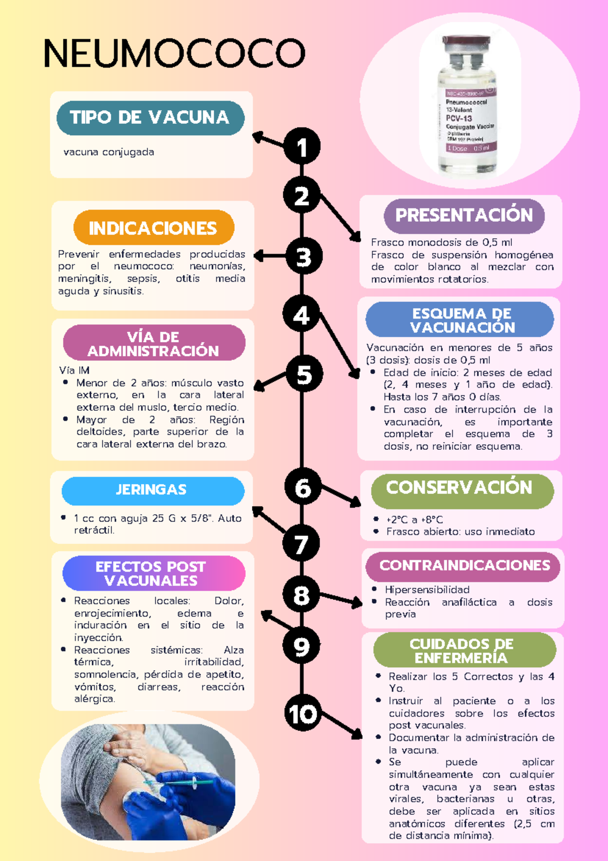Neumococo - Vacuna Conjugada: Indicaciones y Esquema de Vacunación ...