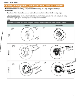Comprehensive Overview of Animal Development Processes and Phases ...