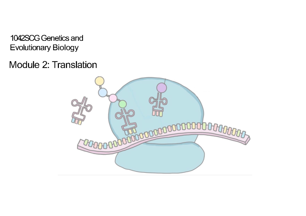 Genetics and Evolutionary Biology 1042SCG: Module 2 - Translation ...