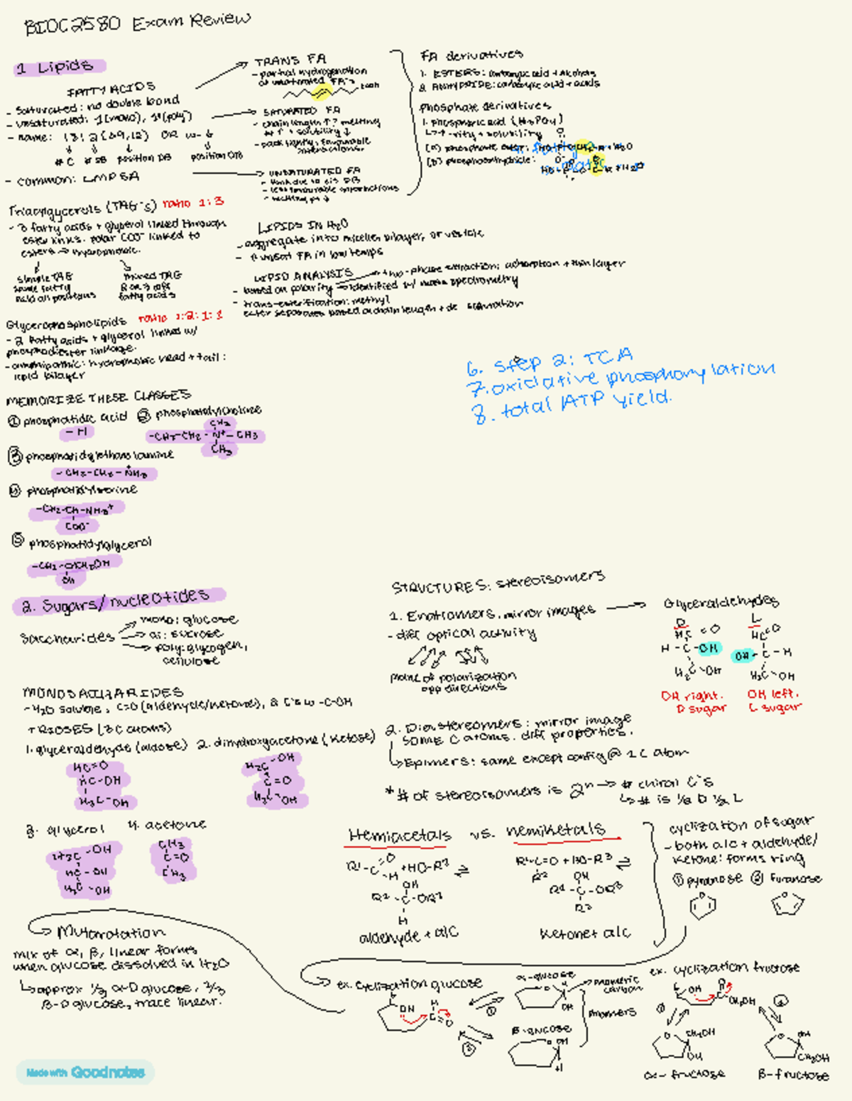 BIOC2580 exam notes: lipids, fatty acids, and carbohydrate structures ...