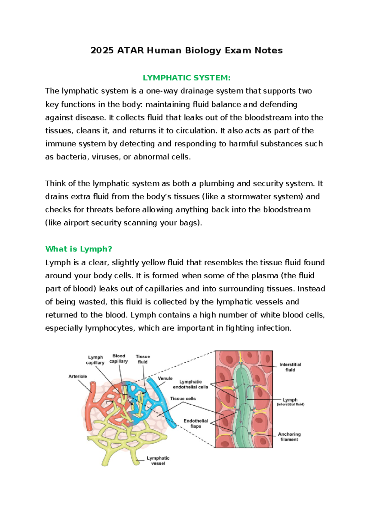 2025 ATAR Human Biology Exam Notes: Lymphatic & Cell Systems Overview ...