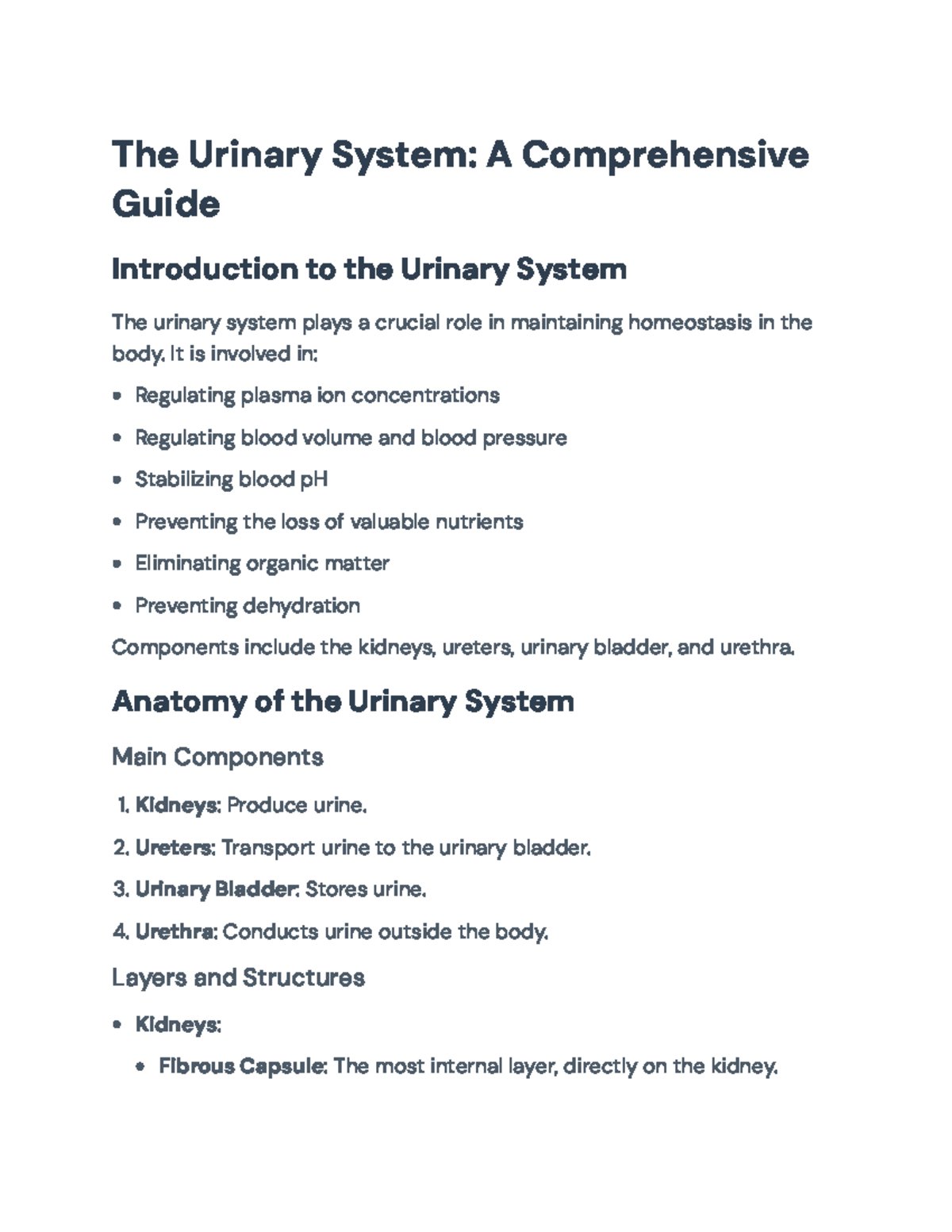 Comprehensive Overview of the Urinary System: Anatomy & Functions - The ...