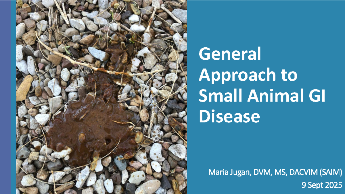 General Approach to Small Animal GI Disease - Course Notes (DVM 2025 ...