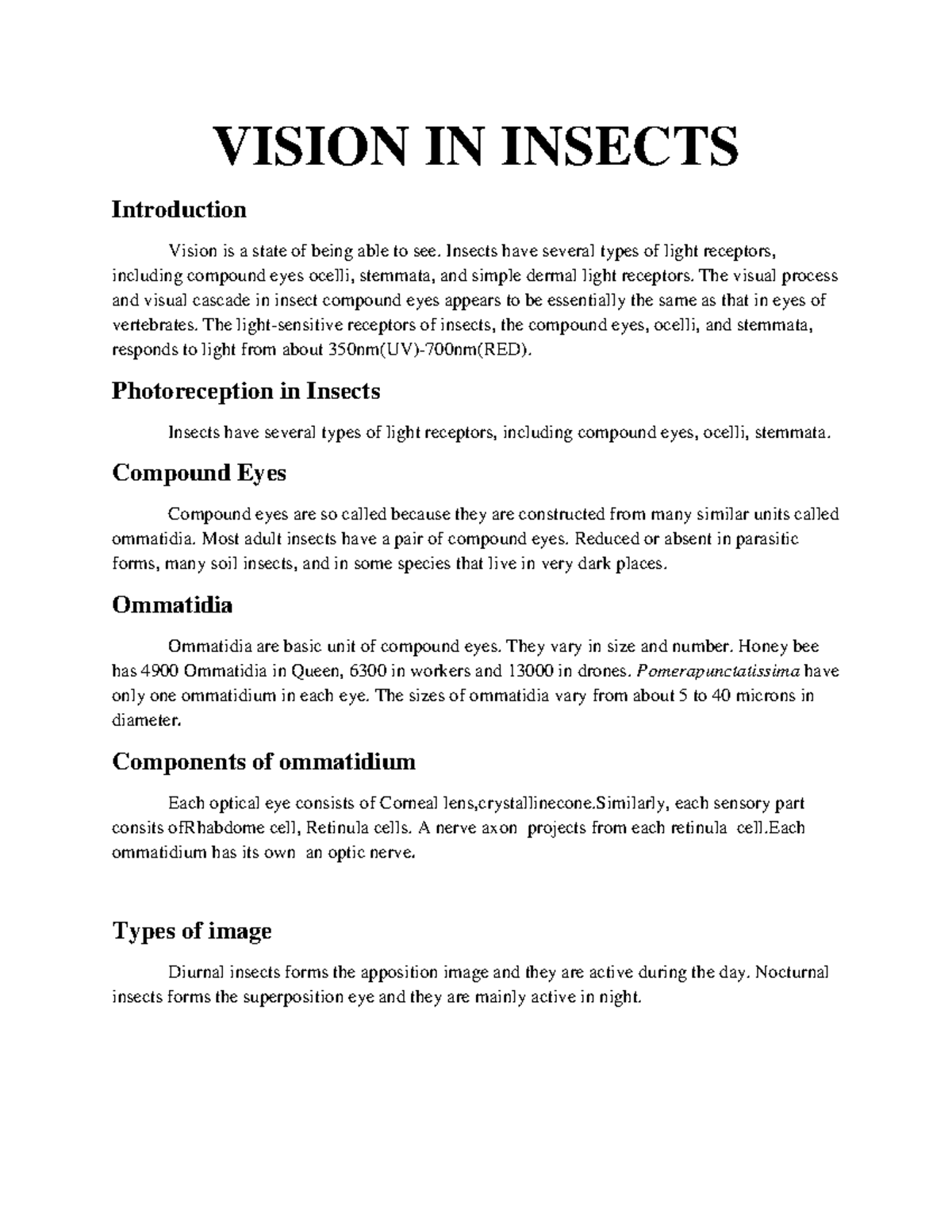 Vision in Insects: An Overview of Insect Visual Systems and Diversity ...