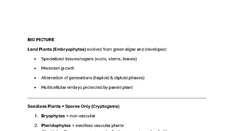 BIG Picture: Seedless Vascular Plants & Bryophytes Overview - Studocu