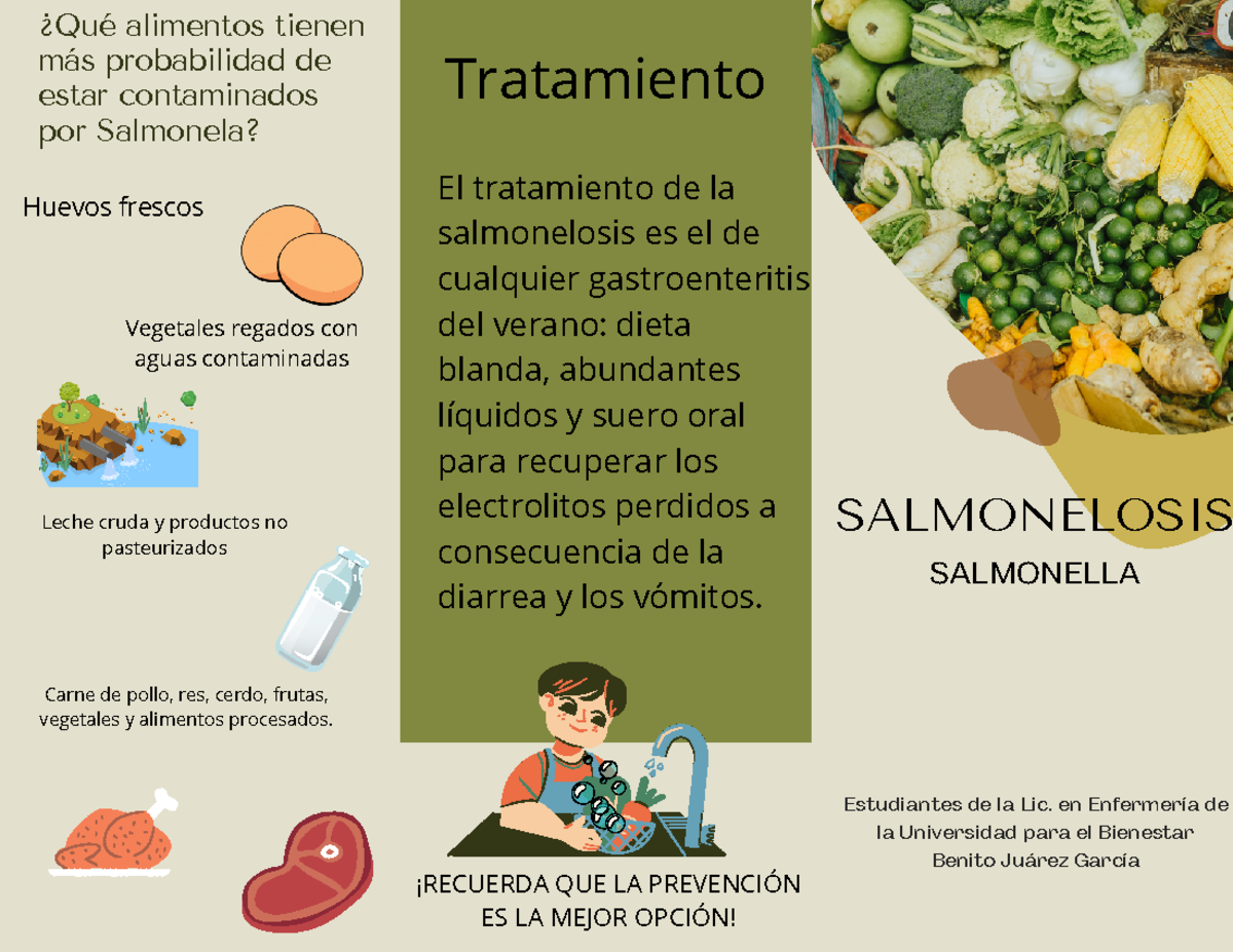 Salmoneleosis: Riesgos, Tratamiento y Prevención en Alimentos - Studocu
