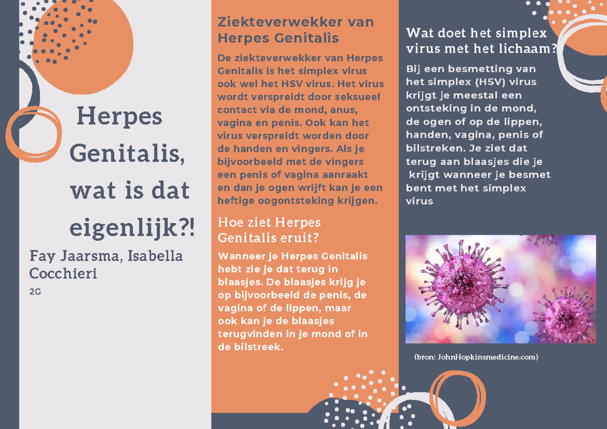 Herpes Genitalis: Informatie over het HSV Virus en Symptomen - Studeersnel