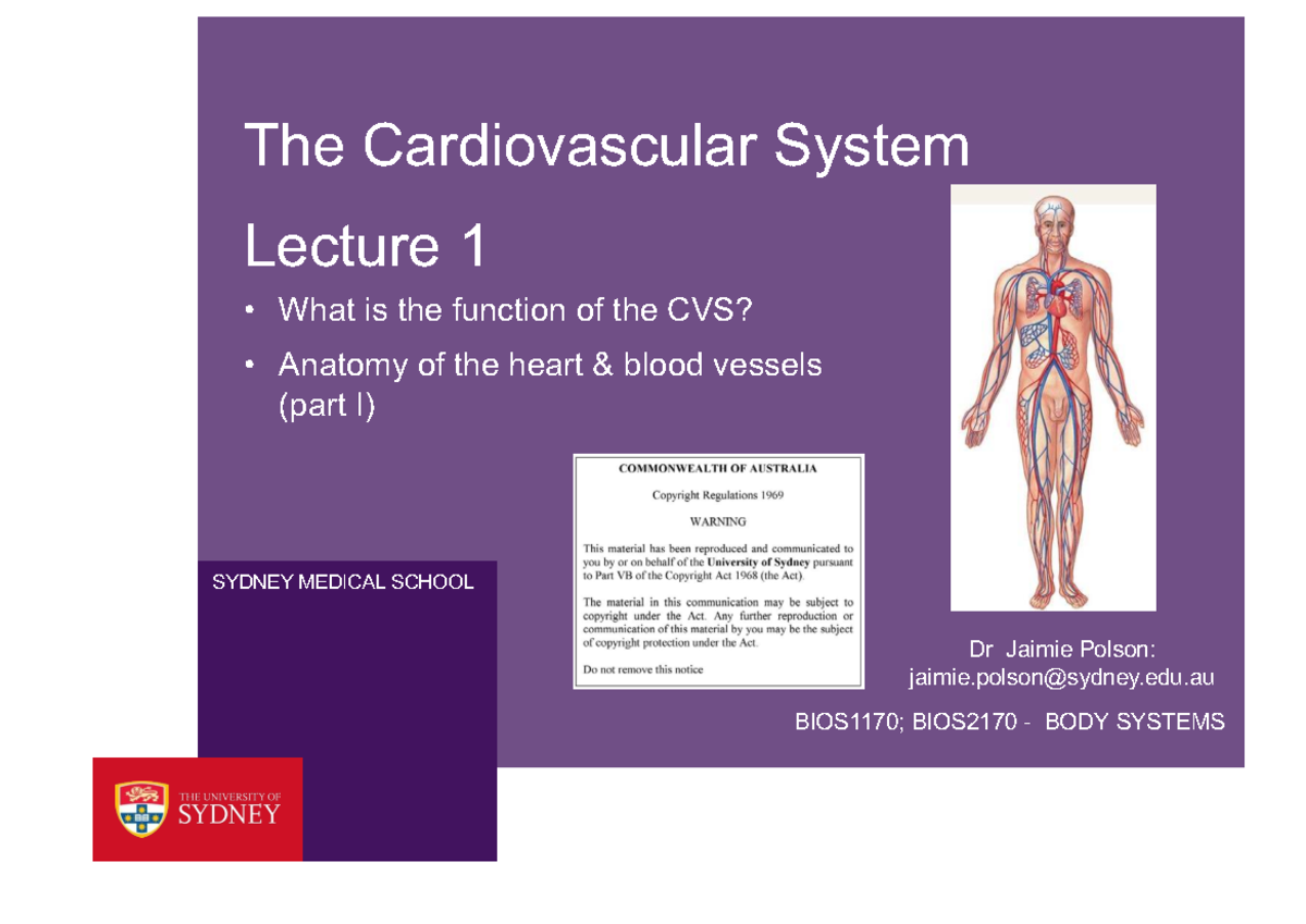 BIOS1170 Lecture 1: The Cardiovascular System Overview - Studocu