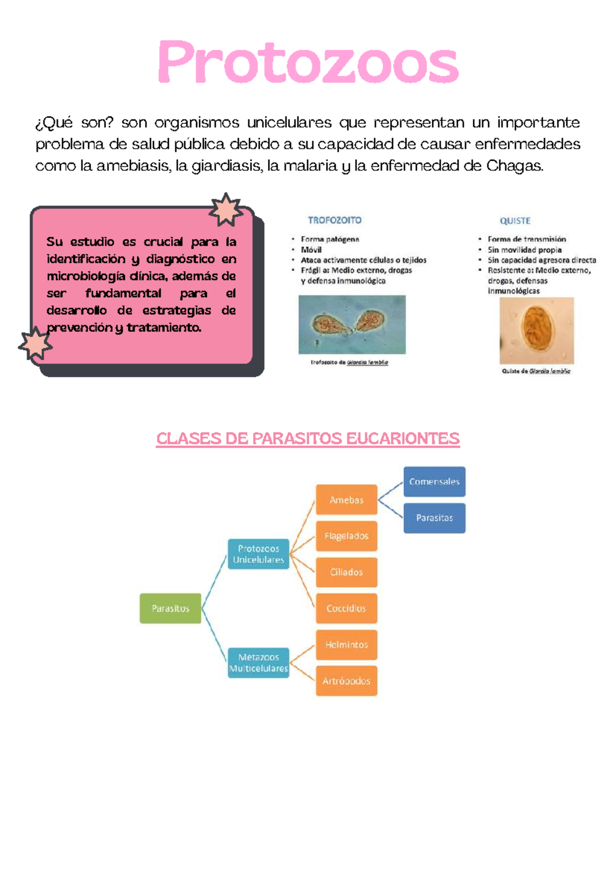 Protoozos si aaa - Protozoos ¿Qué son? son organismos unicelulares que ...