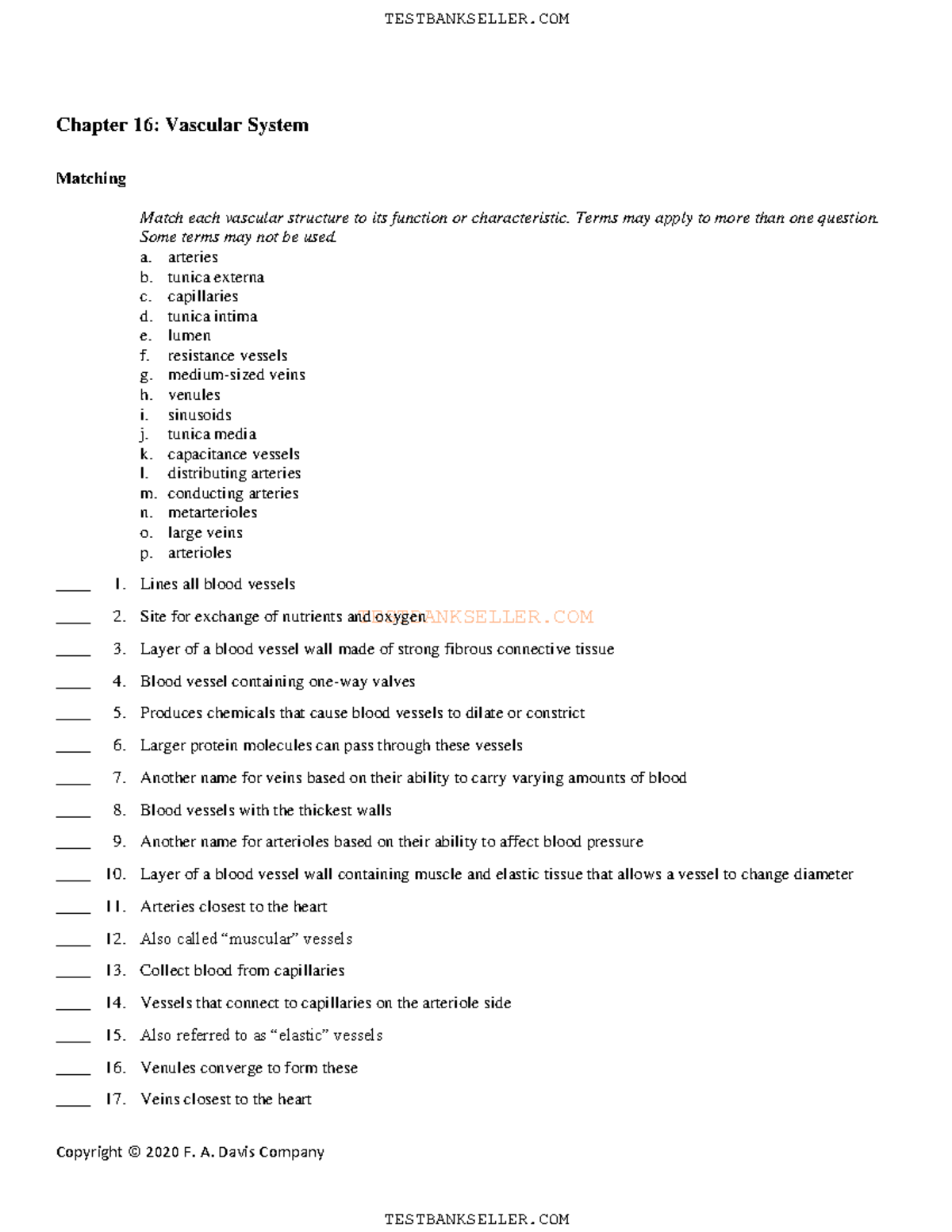 Chapter 16 - Vascular System Study Guide and Answer Key - Studocu