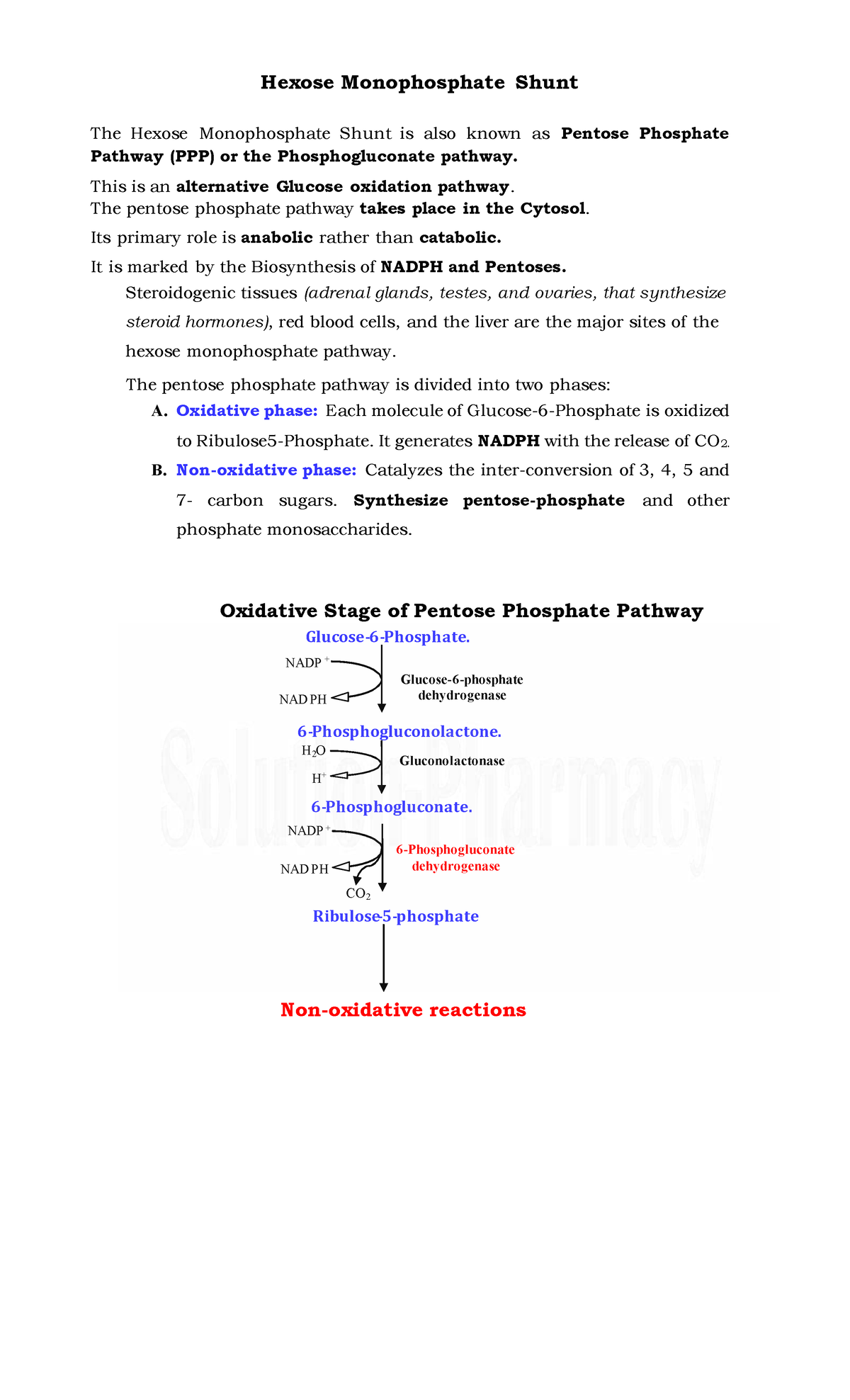 PPP & ETC: Hexose Monophosphate Shunt Overview in Biochemistry - Studocu
